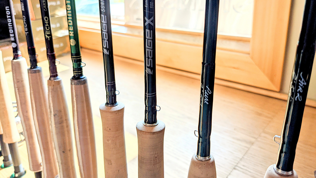 Five Weight Fly Rod Shootout – Fly and Field Outfitters