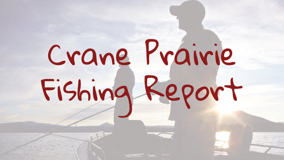 Crane Prairie Update – Fly and Field Outfitters