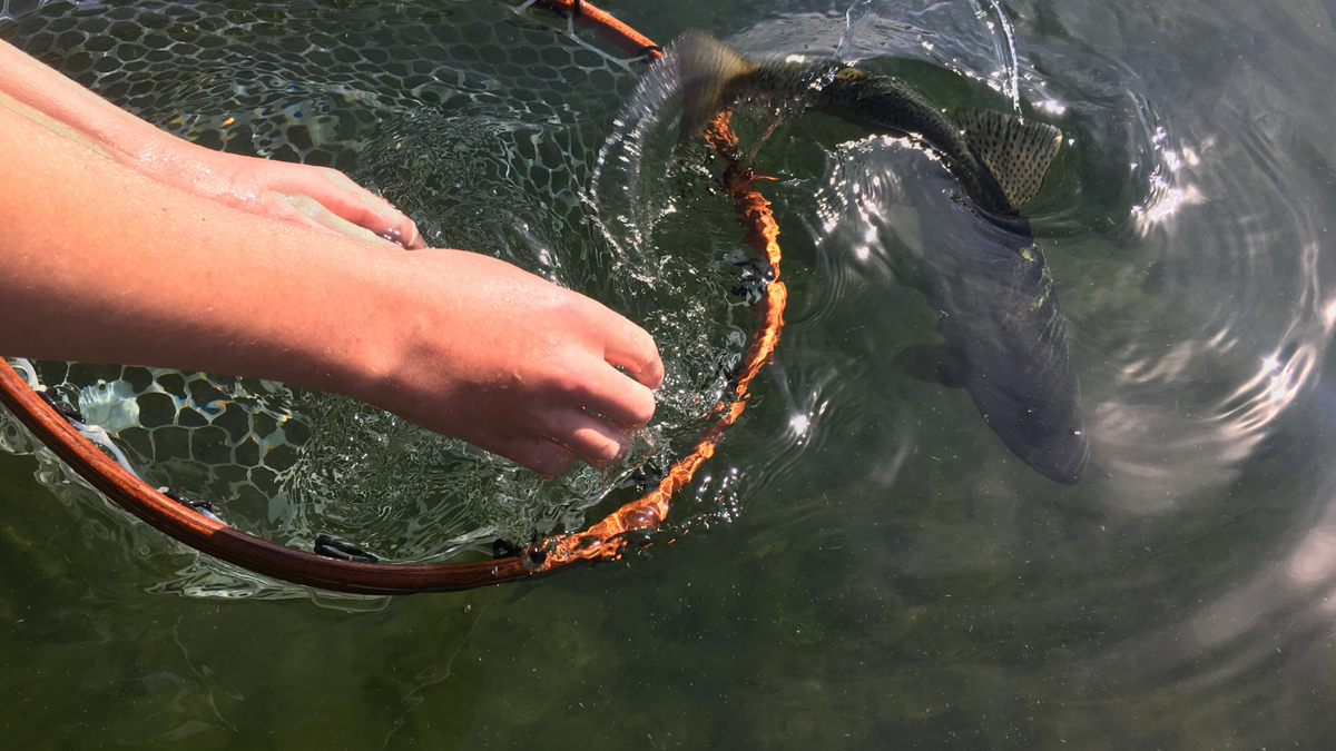 Crane Prairie Report 4/23/21 – Fly and Field Outfitters