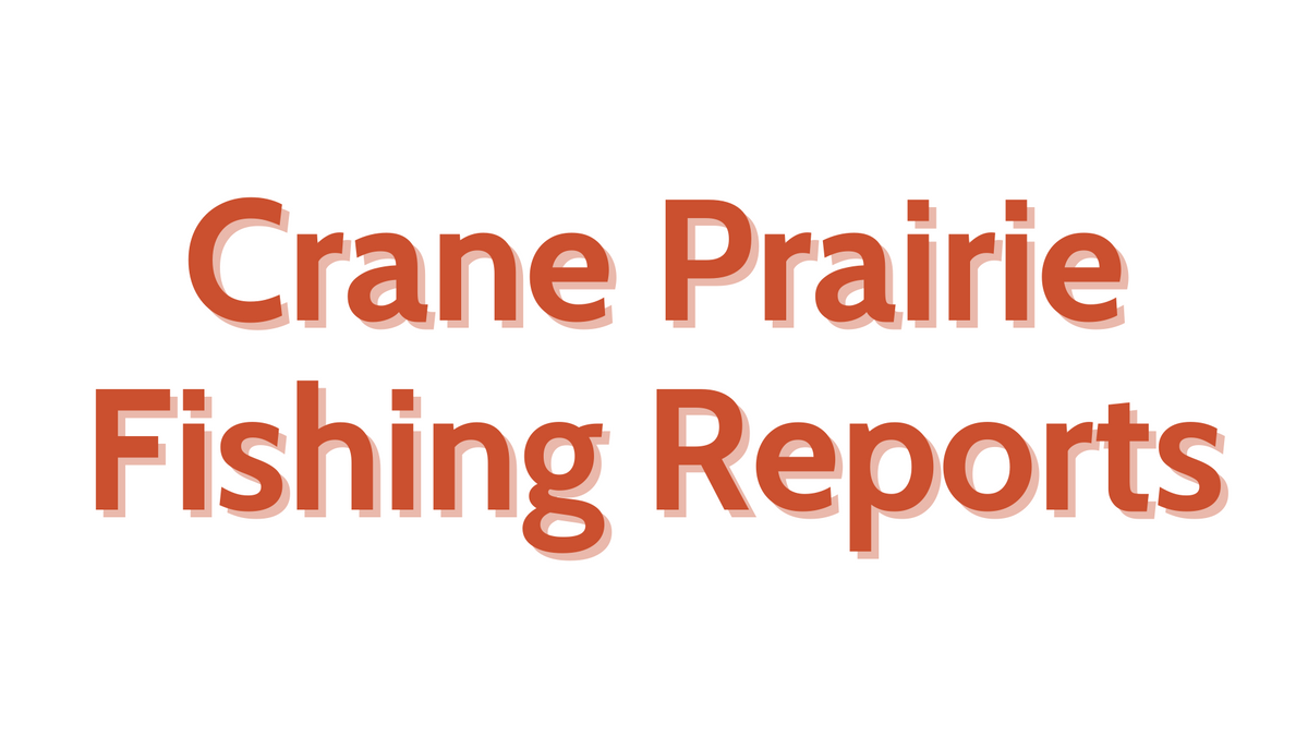 Crane Prairie Update - June 3rd, 2022 – Fly and Field Outfitters