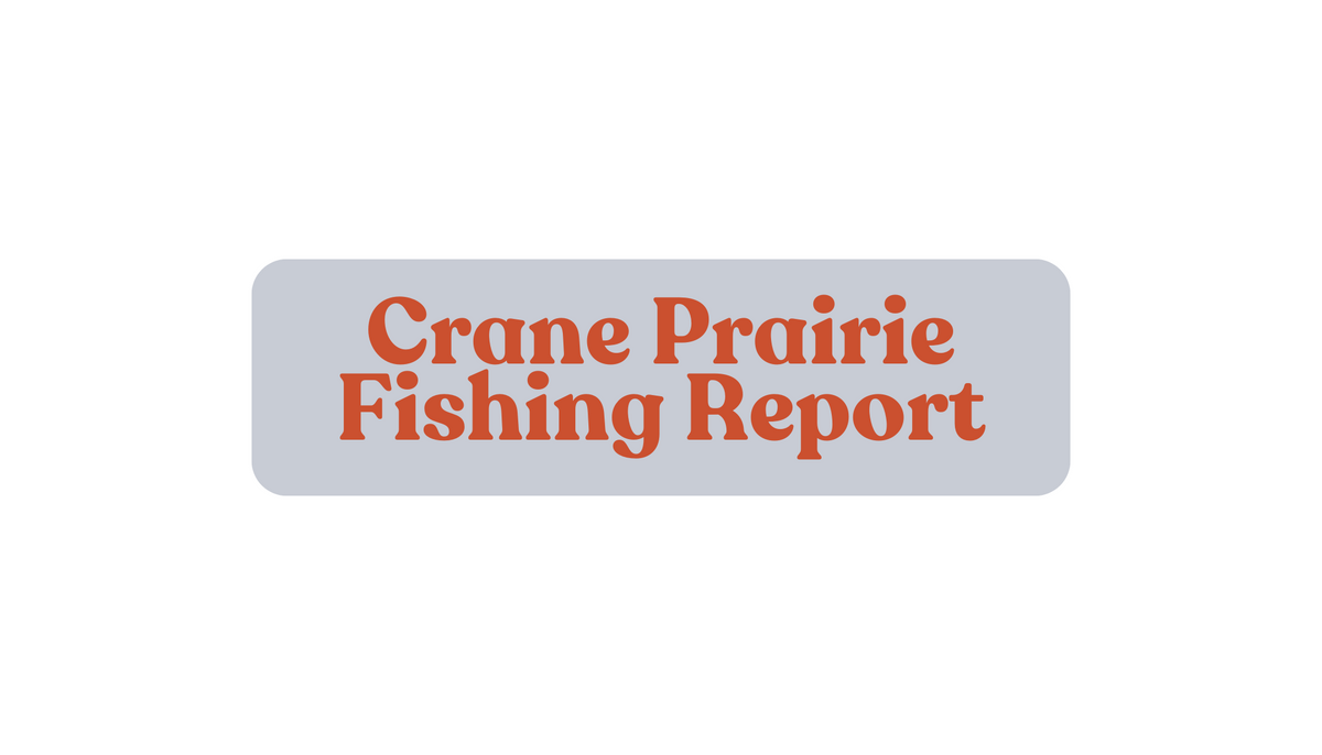 Crane Prairie Update August 30th, 2024 – Fly and Field Outfitters