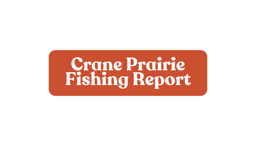 Crane Prairie Update October 4th, 2024 – Fly and Field Outfitters