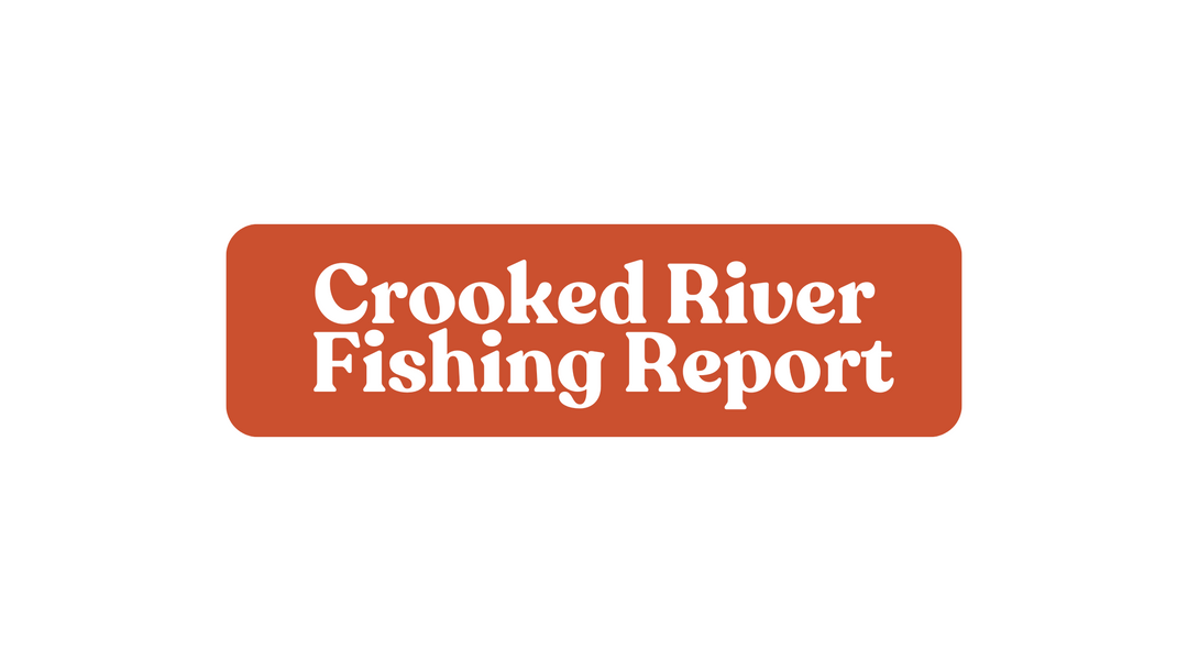 Fishing Reports – Fly and Field Outfitters
