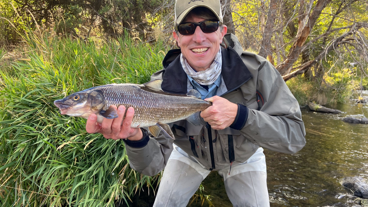 Mountain Whitefish and Why They Matter – Fly and Field Outfitters