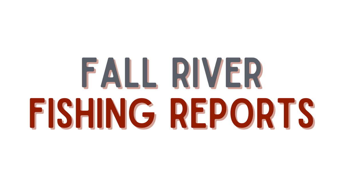 Fall River Update - 4/22/22 – Fly and Field Outfitters