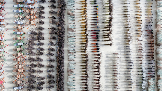 How to Organize Your Fly Boxes – Fly and Field Outfitters